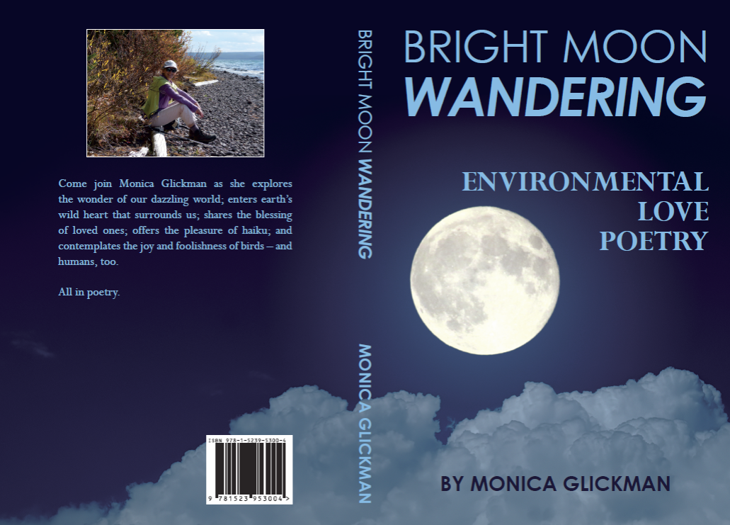 Bright Moon Wandering – New Poetry Book | Sweet Planet Poems